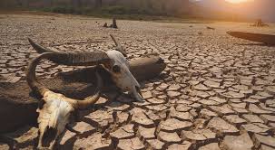 What Defiles the Land (and what to do about it) – Strategic Prayer ...